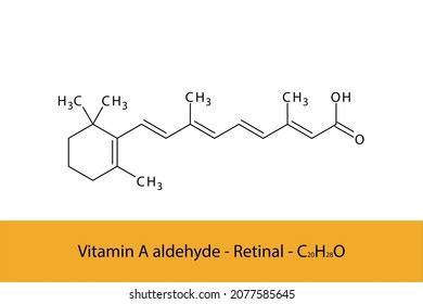 Retinal Skeletal Structure Molecular Formula Organic Stock Vector Royalty Free 2077585645