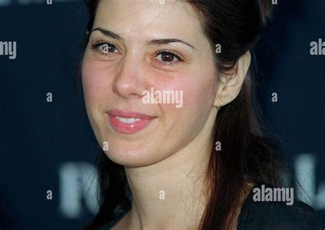 Marisa Tomei A Journey Through Her Iconic Career Cfs News