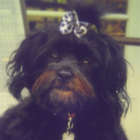 Amy Lebowitz Amy Lebowitz Twitter