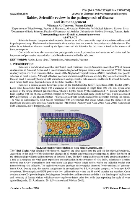 Pdf Rabies Scientific Review In The Pathogenesis Of Disease And Its Management