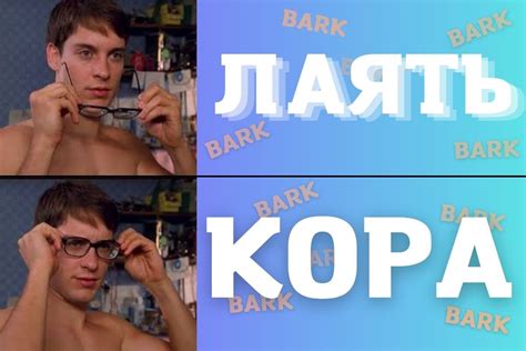 5 многозначных слов которые следует знать Liveonenglish — Livejournal