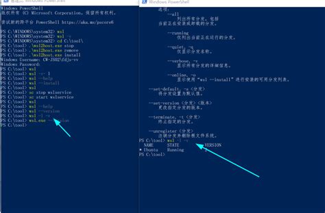 There Is No Output From The Command In Admin Mode Issue Microsoft WSL GitHub