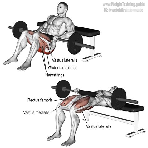What Muscles Do Barbell Hip Thrusts Work At Alan Koester Blog