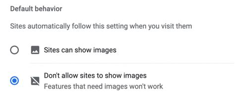 Image Alt Text Definition And Best Practices For Accessible Designs Venngage
