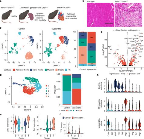 ScRNATCR Seq Reveals Abundant Clonal Effector CD T Cells In Download Scientific Diagram