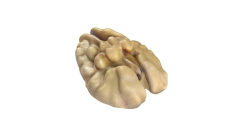 Walnut Kernel V2 Flippednormals