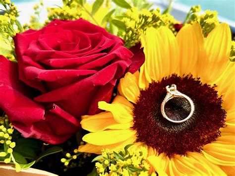 Las Olas Yachting All You Must Know Before You Go 2025 With