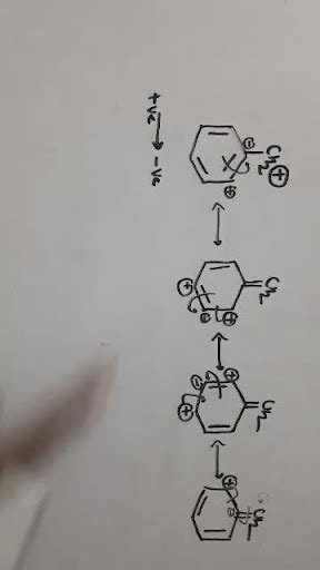 Tertiary Halide Secondary Halide Primary Halide Chhfor S1 1 Reaction