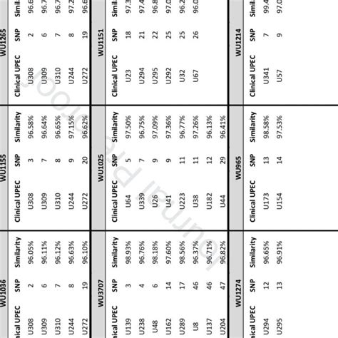 Distance Matrix Snp Analysis Based On Core Genome Labelled Snp And Download Scientific