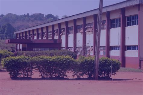Top 10 Best Secondary Schools In Enugu State Learnhub
