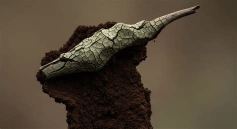 Soil Saturation → Term