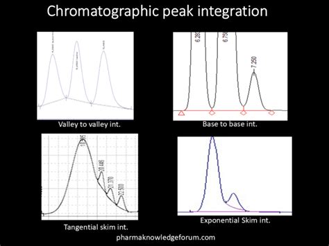 Peak Integration In HPLC How To Avoid Errors And Ensure Accuracy PharmaGuru