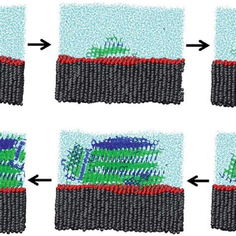 Molecular Dynamics Snapshots Of Ice Nucleation At The Surface Of A Download Scientific Diagram