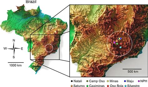 What Is The Topography Of Brazil At Tyler Mckinley Blog