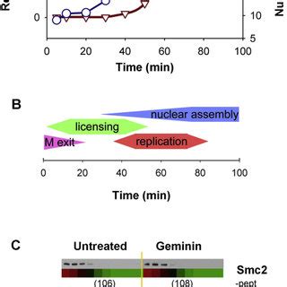 Proteomic Data Acquisition Manipulation And Verification A Sperm Download Scientific