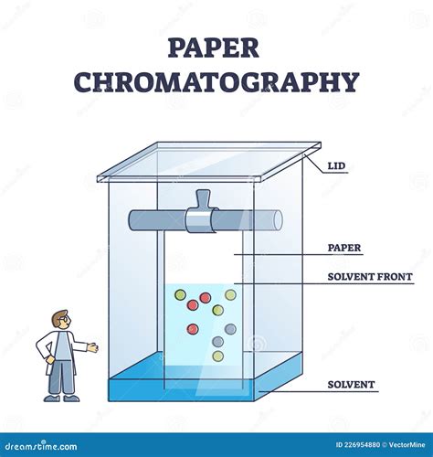 Paper Chromatography Analytical Method For The Separation Of A Mixture Into Its Individual
