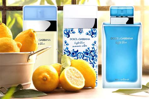 Dandg Light Blue For Her Edt Vs Intense Vs Summer Vibes Viora London