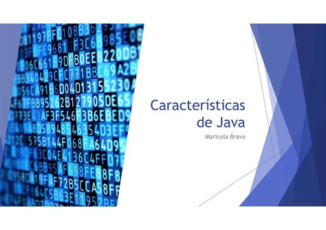 Java Netbeans Caracteristicas