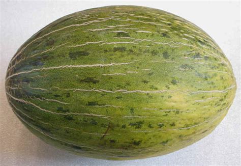 Santa Claus Or Christmas Melon Ingredients Descriptions And Photos