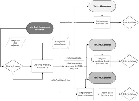 Workflow System Diagram Of How The Various Tiers Of Nlca Defined By