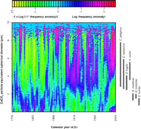 Contour Plot Representing The Evolution Of The Particle Download Scientific Diagram