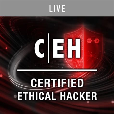 Certified Ethical Hacker Ceh Live Online Or In Person Hacker Halted 2025
