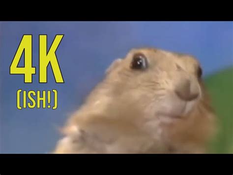 Dramatic Chipmunk South Park