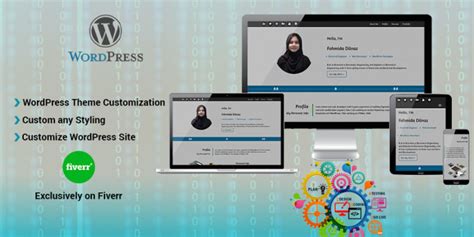 do wordpress theme plugins installation and customization by fdilnaz