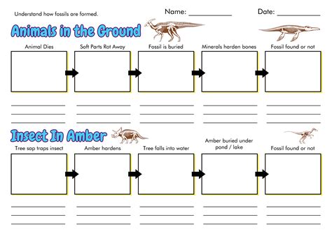 Best Images Of Fossils Activities Worksheets Fossil Activity Worksheet Printable Dinosaur