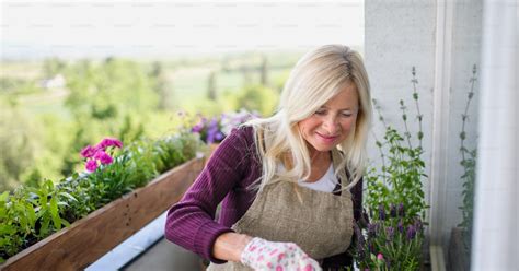 여름에 발코니에서 정원을 가꾸는 고위 여성의 초상화 식물에 물을 줍니다 사진 Unsplash의 슬로바키아 이미지