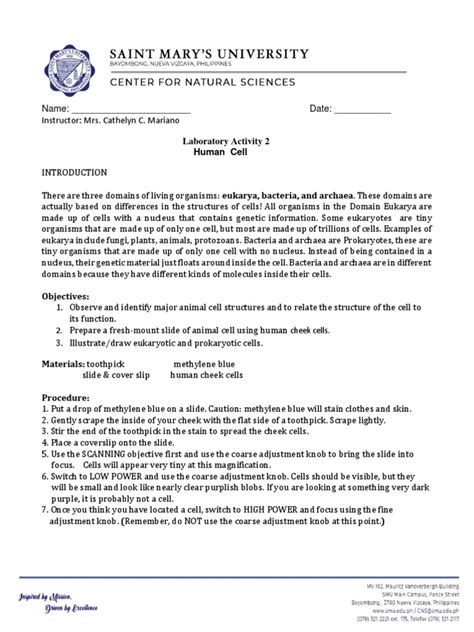 Lab2 Cheek Cell A Pdf Cell Biology Eukaryotes