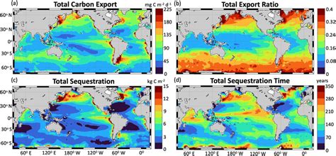 A Mean Total Organic Carbon Export From 124 Different Versions Of Our