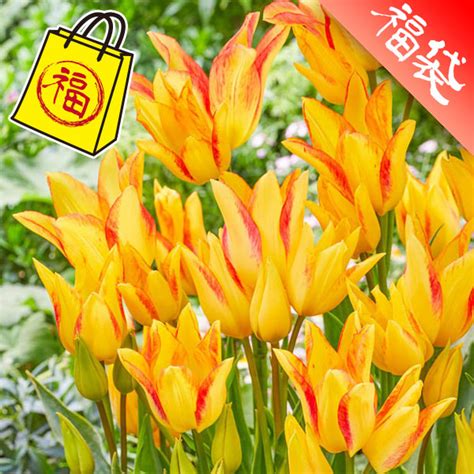 挊 ` [ B V F C W [ [ B G 20 Z B G I O E X ・咃 Width 130px Height 130px