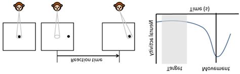 Experimental Design And Schematic Result Of Visually Guided Saccadic Download Scientific