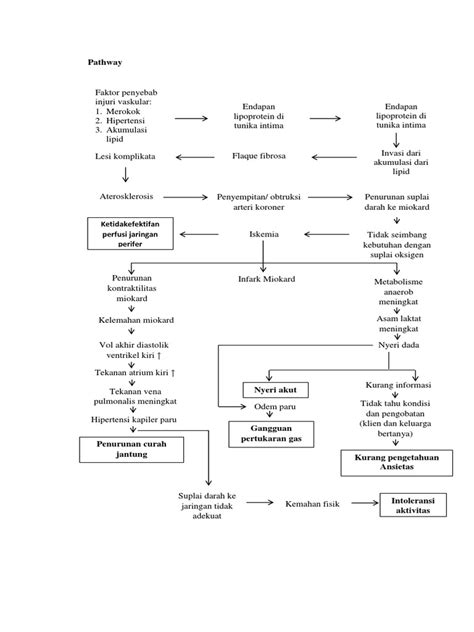 Pathway Stemi Pdf