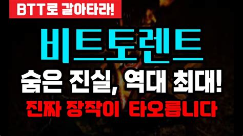 비트토렌트 숨은 진실 역대 최대 Xx 장작이 타오르기 시작하네요 Youtube