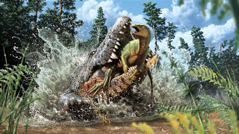 Fossils Show A Crocodile Ancestor Dined On A Young Dinosaur Science News