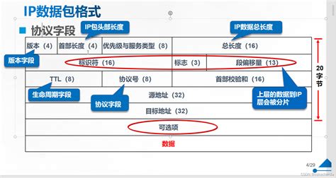 Ip数据包、icmp协议、arp协议 Ipc数据包 Csdn博客