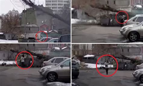 Ukrainian Woman Narrowly Avoids Being Crushed By A Huge Falling Tree Daily Mail Online