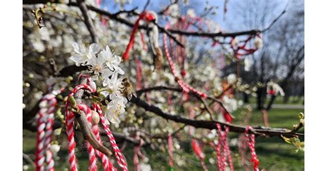 Гледките на 4 те сезона Първите цъфнали дръвчета