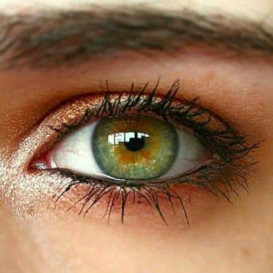 150 Hazel Green Eyes Ideas In 2021 Green Eyes Hazel Green Eyes Eyes