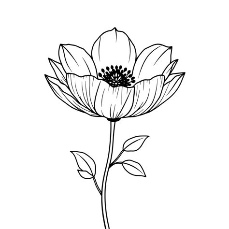 무료 무궁화 색칠하기 그림 아름다운 한국의 국화 색칠 도안 모음