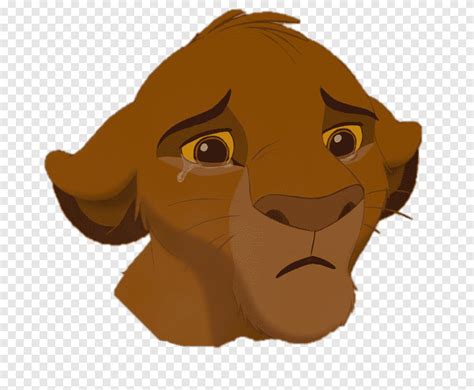 Simba Crying