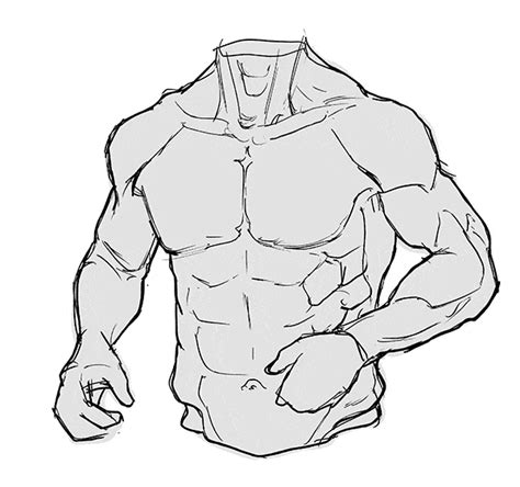 How To Draw Torso Aimsnow7