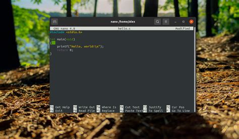 Установка GCC в Ubuntu Losst