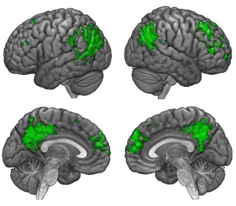 Decoding The Neural Representation Of Story Meanings Across Languages Tholonia