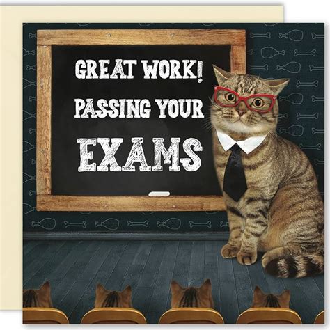 Passed Exam Meme 7 Passing Exams Ideas Congratulations Quotes Exam