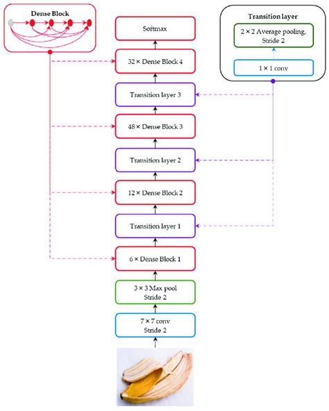 Densenet 201 Architecture Download Scientific Diagram