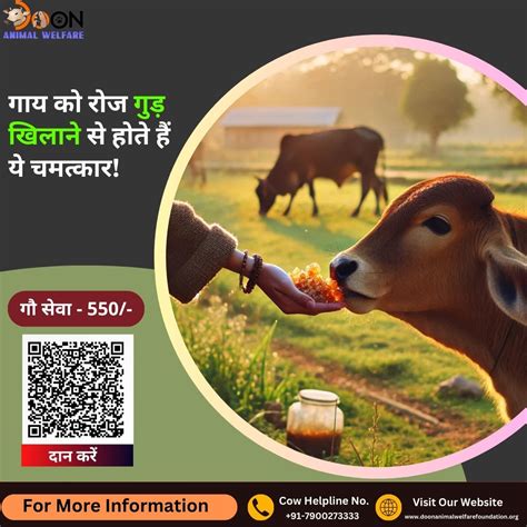 Gay Ko Gud Khilane Ke Fayde होंगे ये चमत्कार