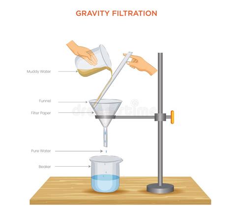 Gravity Filtration Diagram Separating Solids From Liquids Using Filter Paper And Funnel Stock Gravity Filtration Diagram Separating Solids From Liquids Using Filter Paper And Funnel Stock
